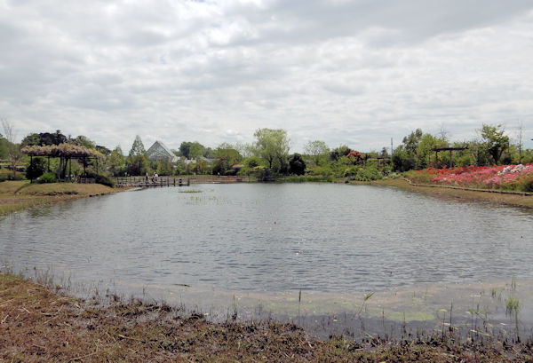 2019年05月22日 : 極楽やんま