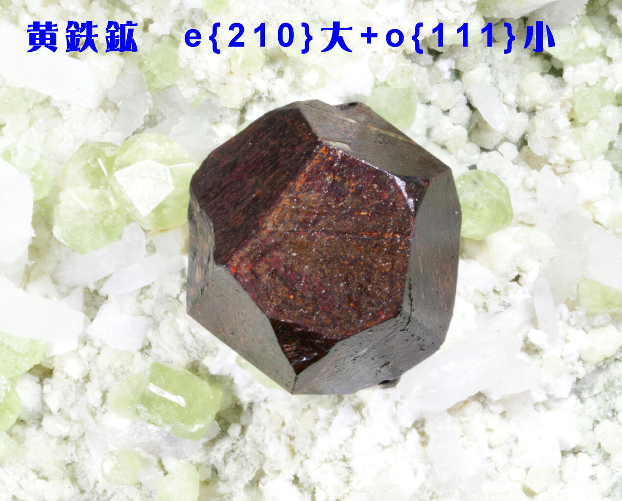 緑柱石とその仲間達 : 半分雪が溶けた中で2