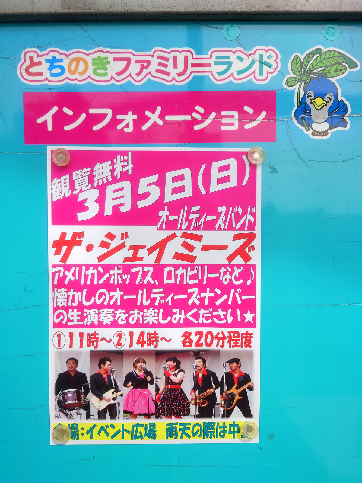 ライブレポート : OLDIES BAND THE JAMIES (栃木・宇都宮 オールディーズバンド ザ･ジェイミーズ)