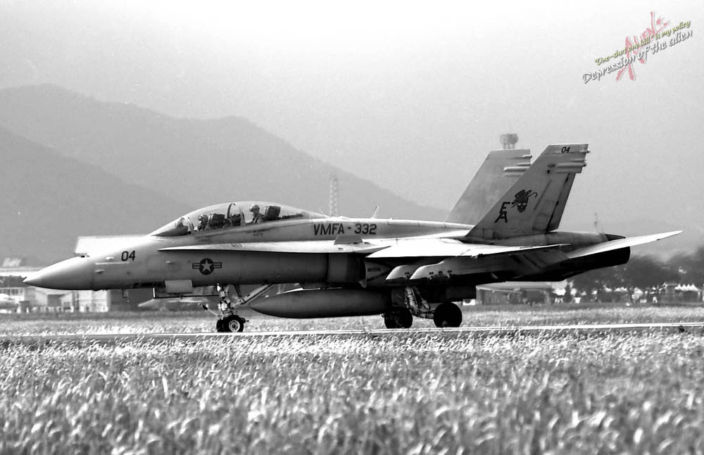 U.S.M.C F/A-18D VMFA（AW）-332 ”MOON LIGHTERS” : THE ALIENS NEST