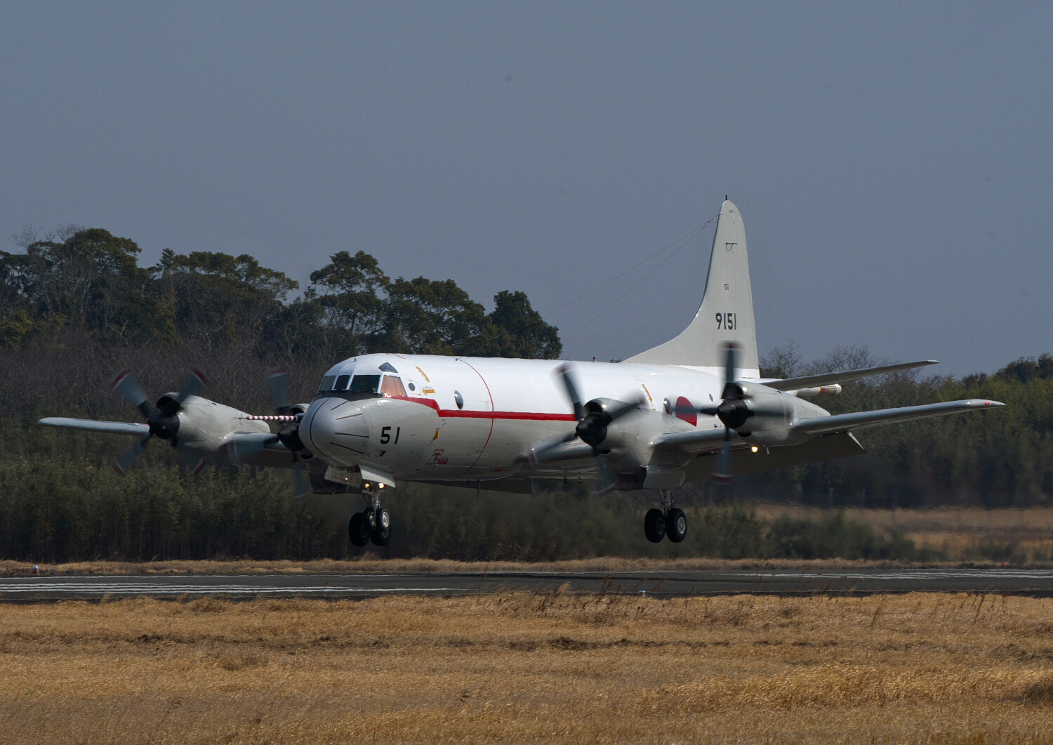 海上自衛隊 第51航空隊 UP-1・P-3C : THE ALIENS NEST