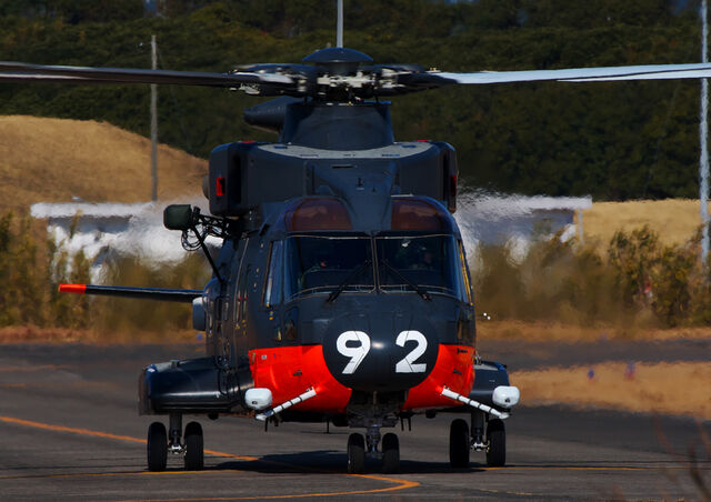 JMSDF CH-101 しらせ搭載型 : THE ALIENS NEST