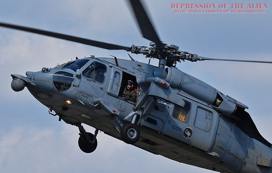 U.S.NAVY HSC-12”GOLDEN FALCONS” : THE ALIENS NEST