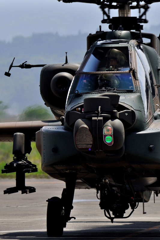 JGSDF AH-64D ”APACHE LONGBOW” : THE ALIENS NEST