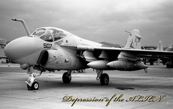 U.S.NAVY VFA-115 ～F/A-18E・A-6E（VA-115）～ : THE ALIENS NEST