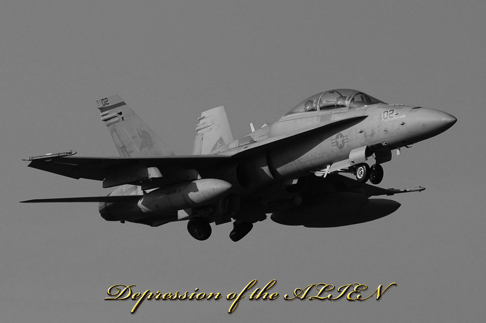 VMFA(AW)-225"Vikings" : THE ALIENS NEST