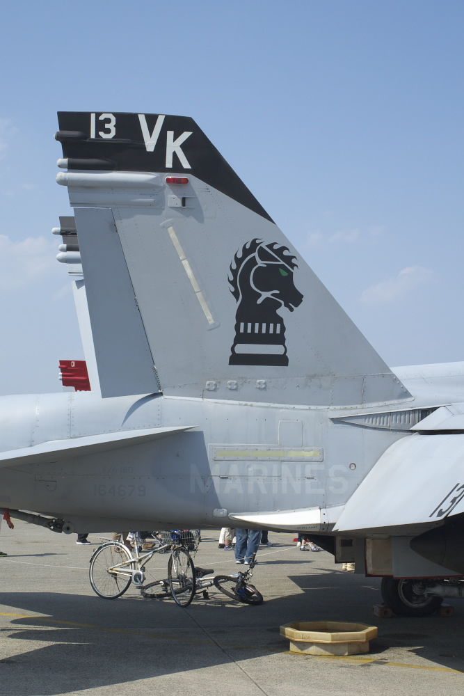 岩国FSD VMFA-121 VK 13 F/A-18D : THE ALIENS NEST