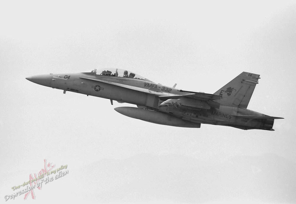 U.S.M.C F/A-18D VMFA（AW）-332 ”MOON LIGHTERS” : THE ALIENS NEST