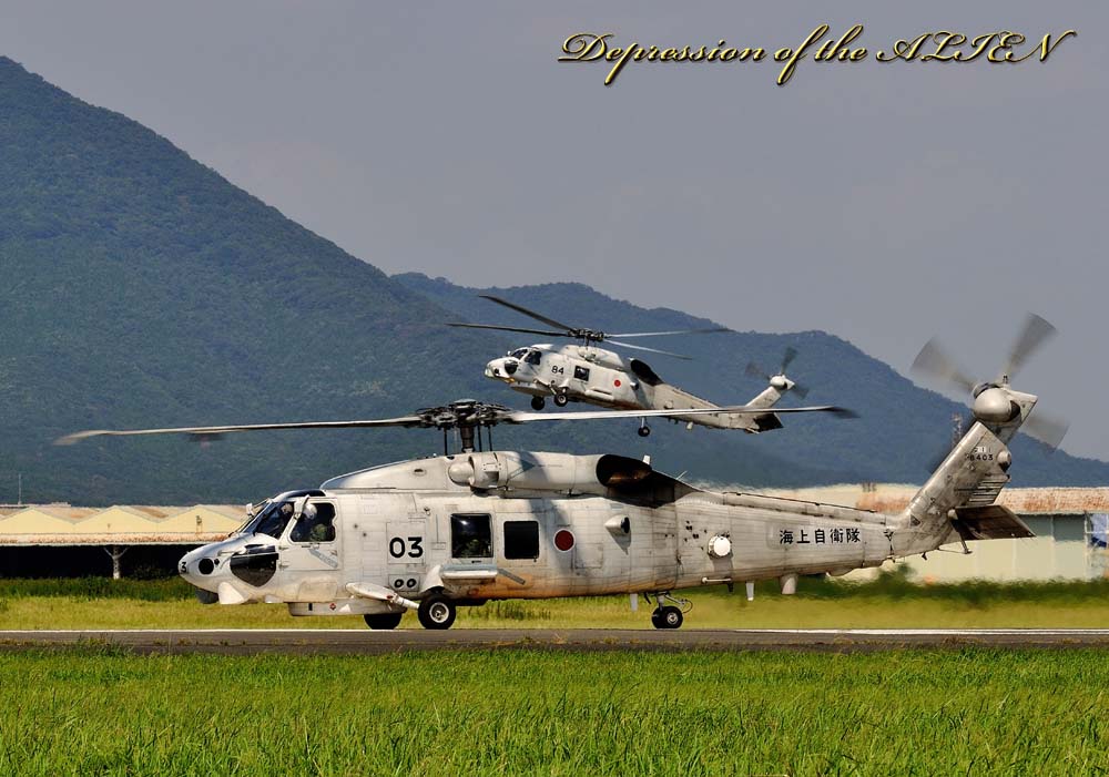 正反対！～JMSDF SH-60・JASDF UH-60～ : THE ALIENS NEST