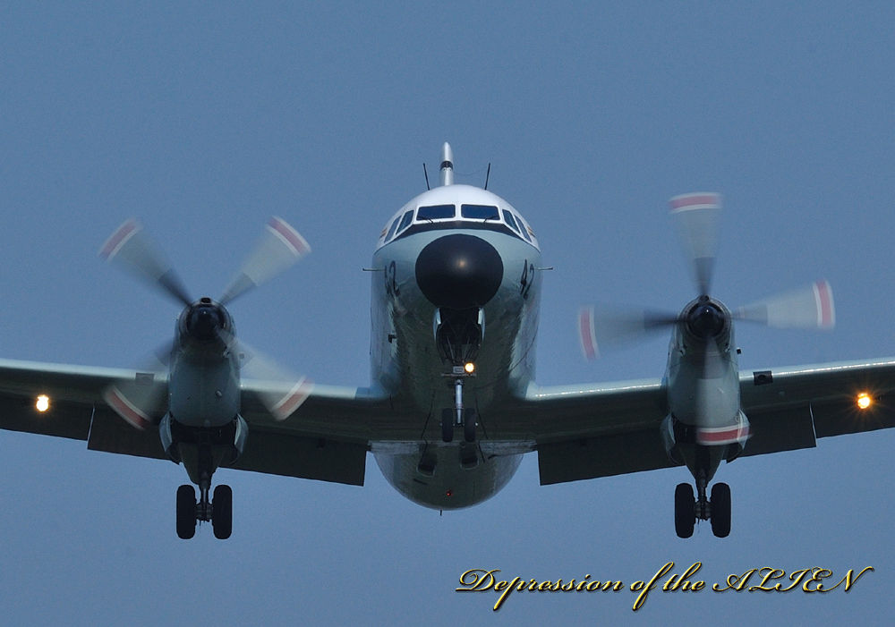 第61航空隊 YS-11M ～鹿屋航空基地～ : THE ALIENS NEST