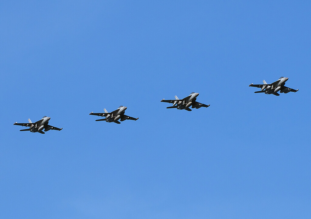 U.S.NAVY EA-18G Growler VAQ-141～岩国航空基地～ : THE ALIENS NEST
