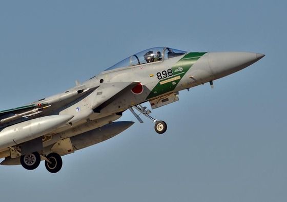 AGGRESSOR F-15J ”82-8898” : THE ALIENS NEST