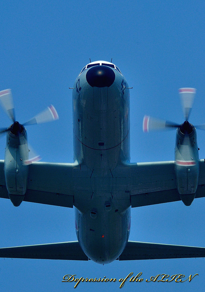 第61航空隊 YS-11M ～鹿屋航空基地～ : THE ALIENS NEST