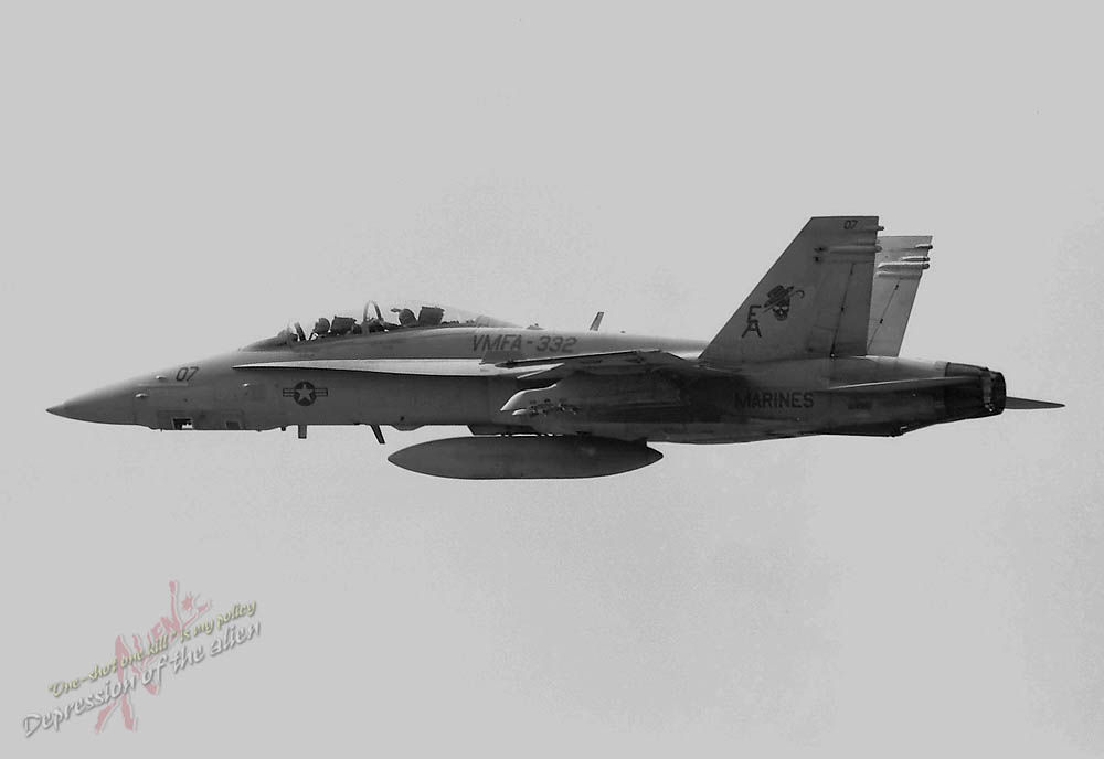U.S.M.C F/A-18D VMFA（AW）-332 ”MOON LIGHTERS” : THE ALIENS NEST