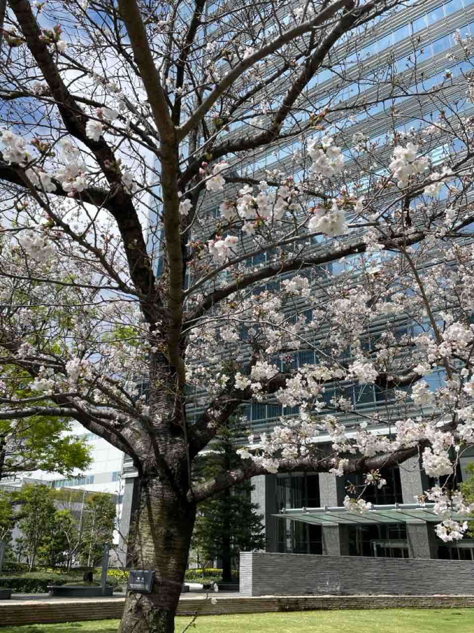 funk love 1周年おめでとうございます！ : Nijiの詩を奏でる日々