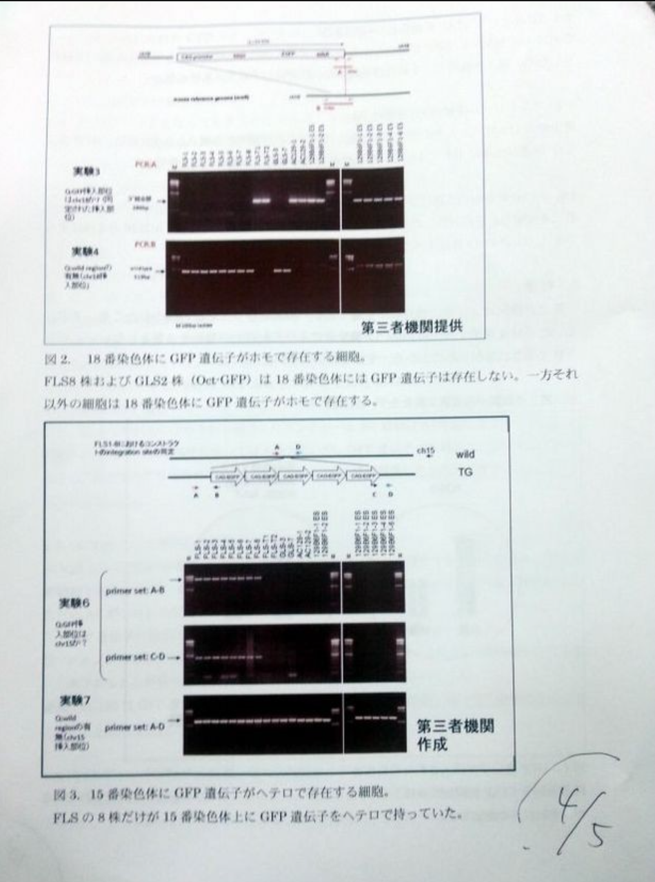Ooboeさんの主張36 : 一言居士のSTAP事件簿