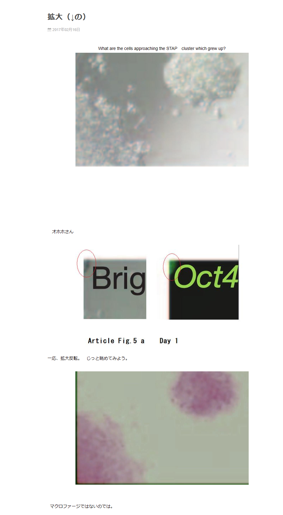 Ooboeさんの主張37 : 一言居士のSTAP事件簿