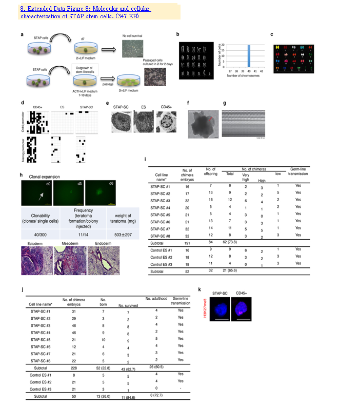 Ooboeさんの主張41 : 一言居士のSTAP事件簿