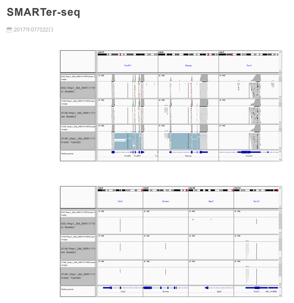 Ooboeさんの主張41 : 一言居士のSTAP事件簿