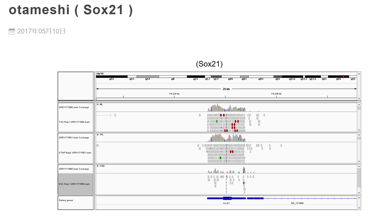 Ooboeさんの主張35 : 一言居士のSTAP事件簿