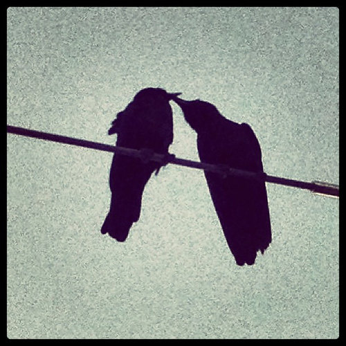 knop♪knop:ドラマを描く・・・（Yon Two Crows♪）