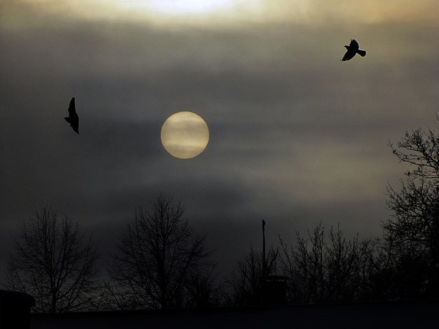 knop♪knop:ドラマを描く・・・（Yon Two Crows♪）