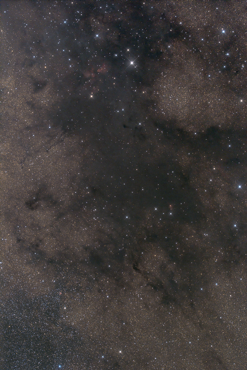 星雲 : 気の向くままに写真を撮りたい