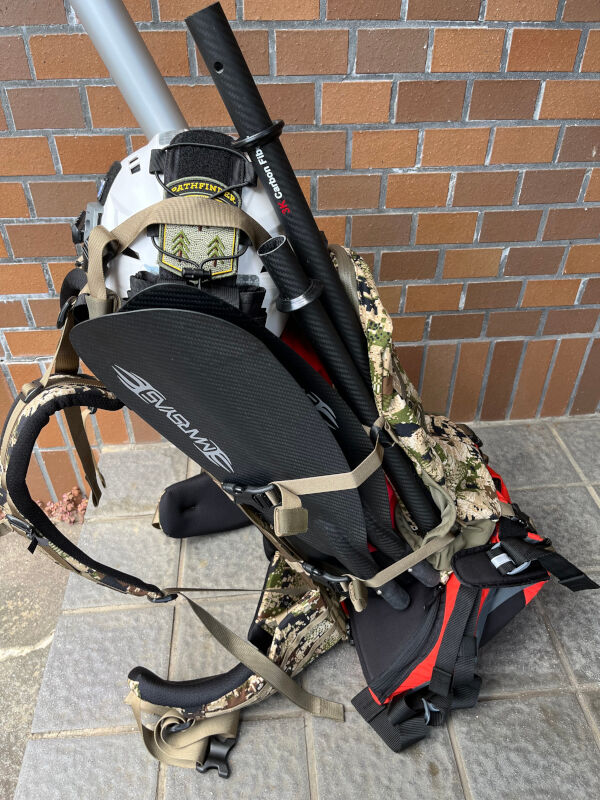 tigerpatterns:2022年08月