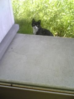 ちっちゃなりんご園だより♪:ちゃろの話 ほか(笑) - livedoor Blog（ブログ）