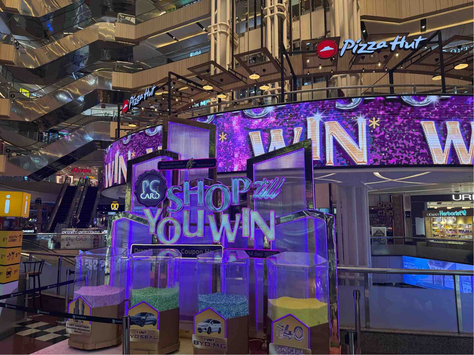 いつも新しい遊び場を探している。 : 4. 昼活からのコタインダー。