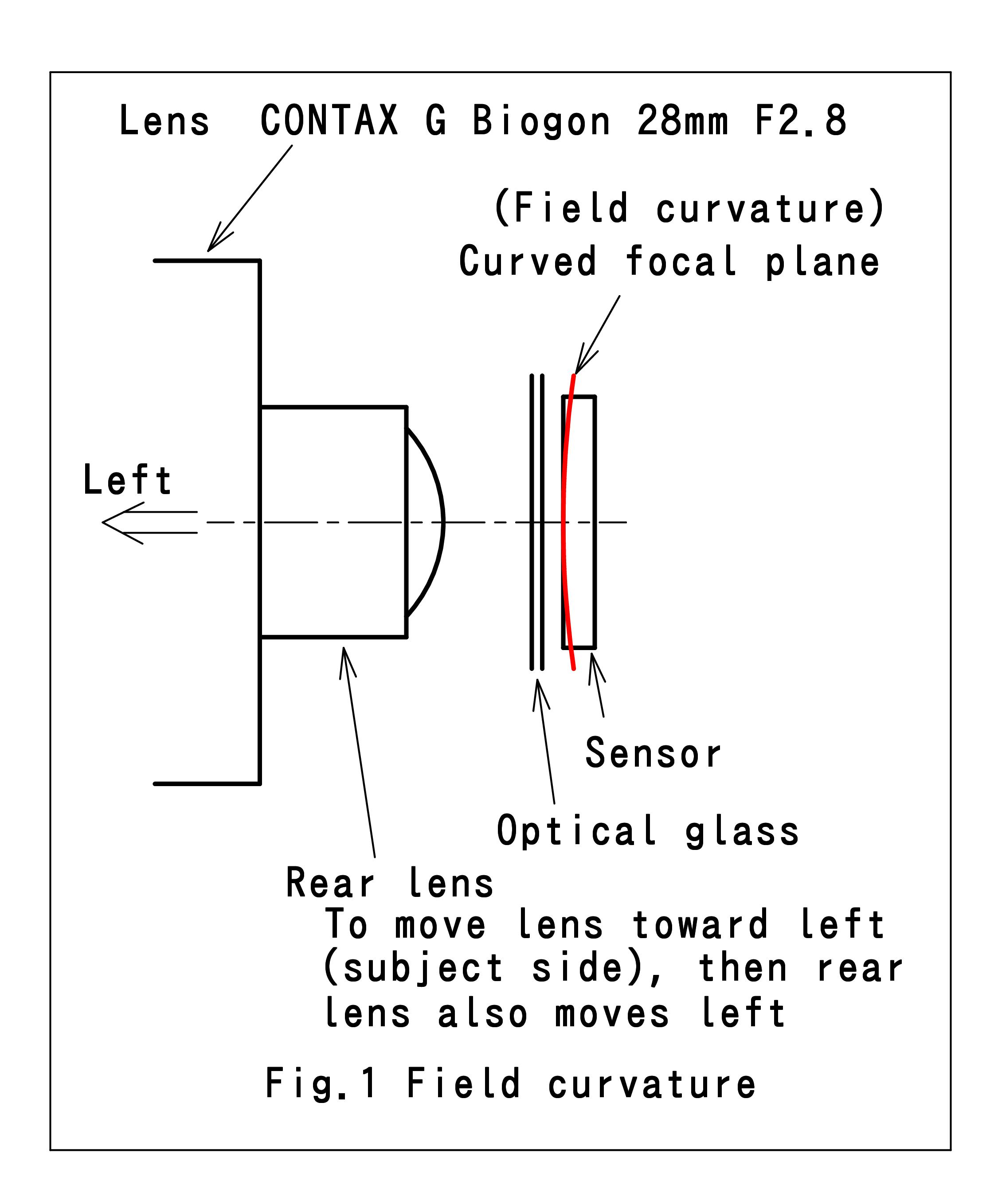 Focal Plane (English) : tnk201507のblog