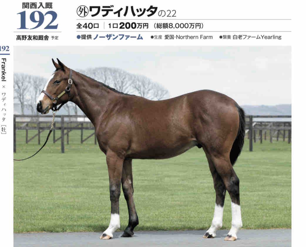 23年最終申し込み : あと一歩届くまで