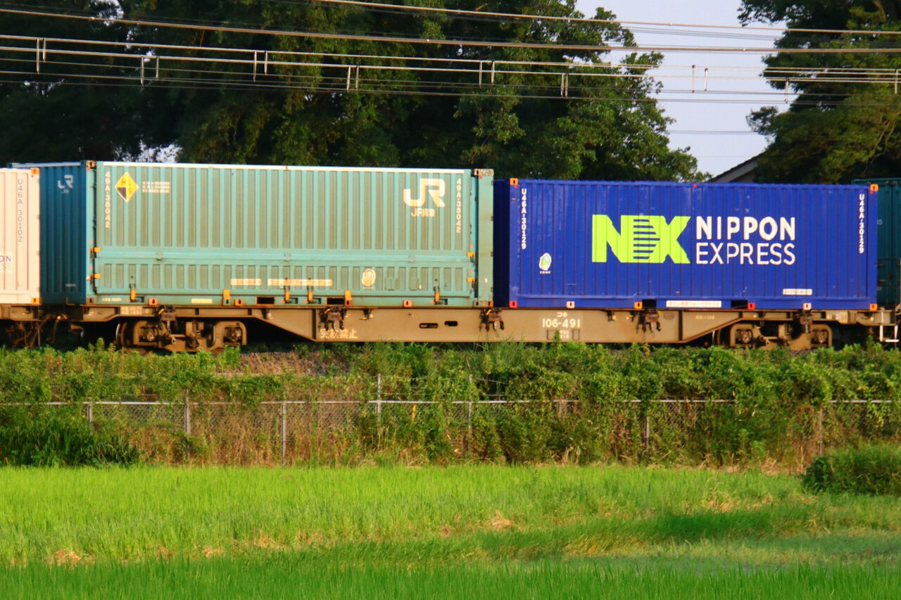 2023/7/26の3050レ : 貨物列車編成記録帳