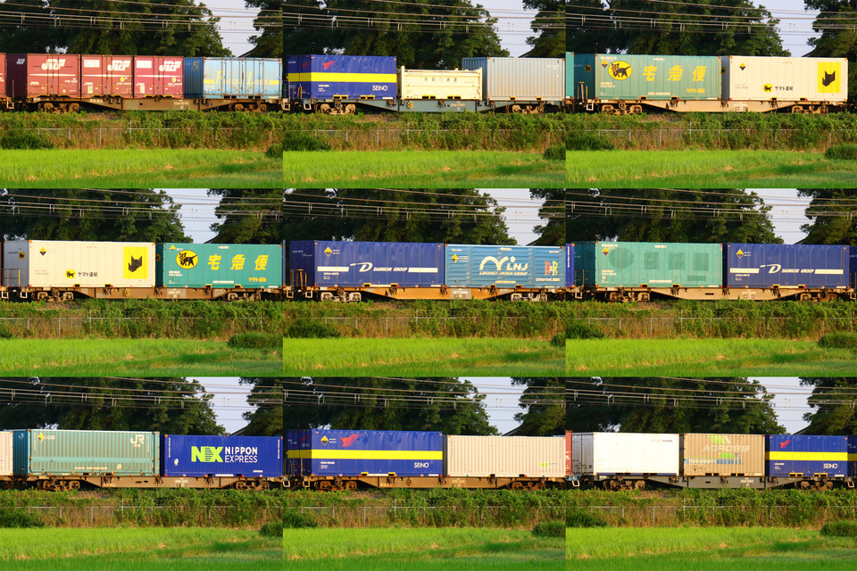 2023/7/26の3050レ : 貨物列車編成記録帳