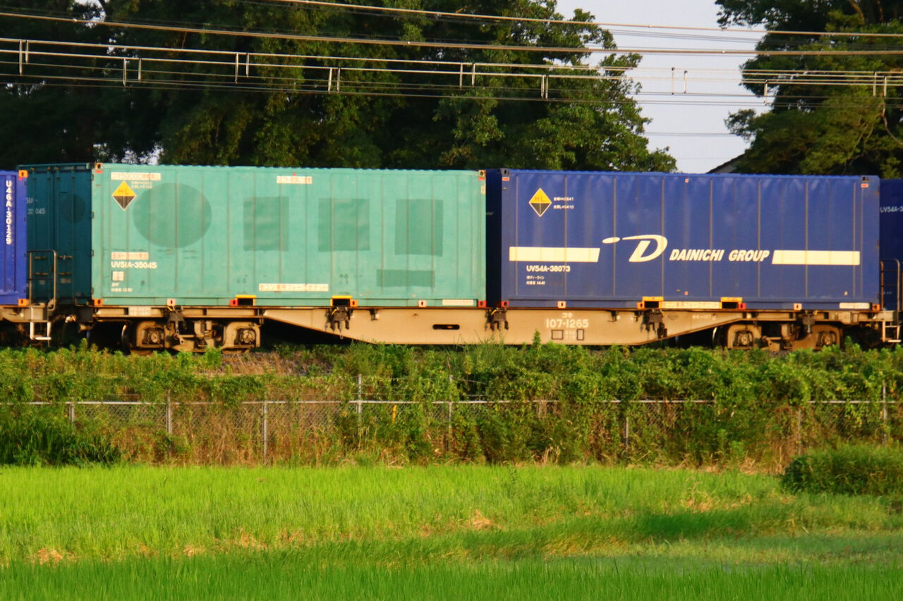 2023年08月 : 貨物列車編成記録帳