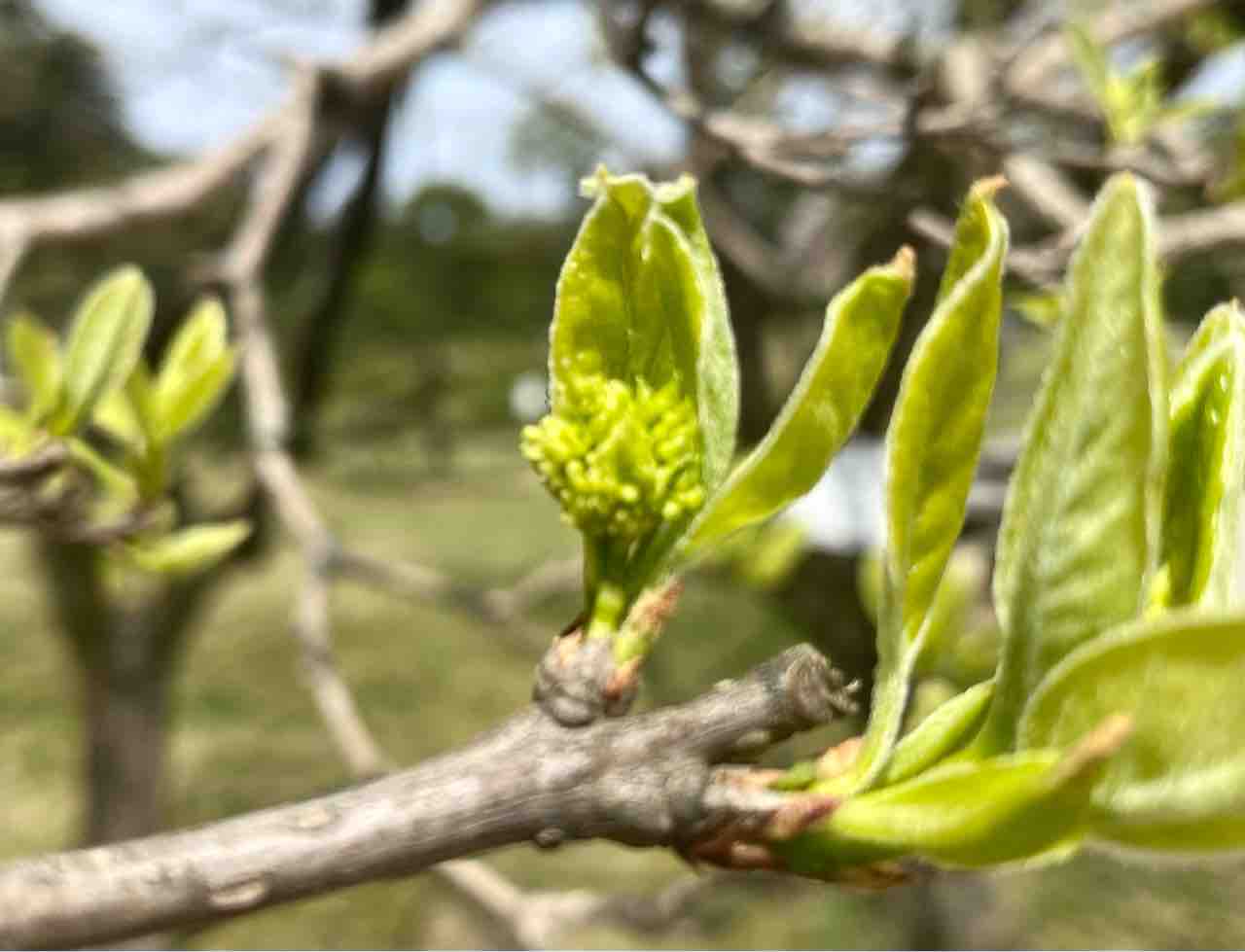 before it's too late #2:とびさんぽ