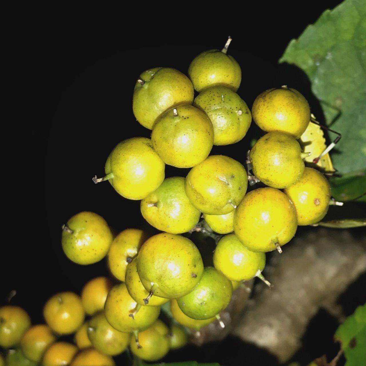 before it's too late #2:乗っ取り目撃