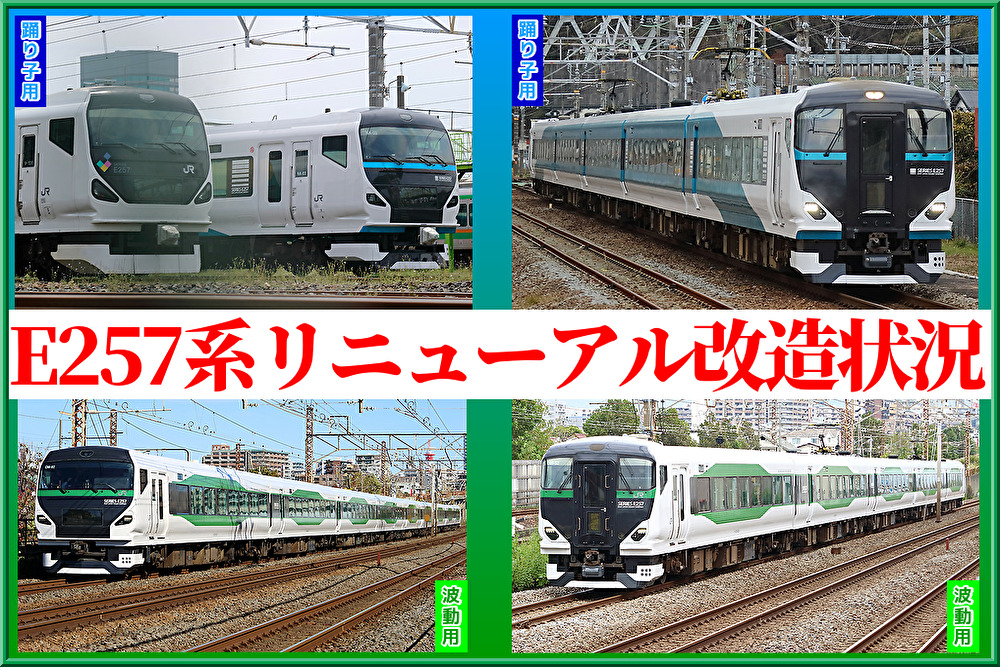 【JR東日本】E257系踊り子用2000・2500番台,波動用5000番台・5500番台の改造状況まとめ② : 湘南色の部屋（Shonan-color train）