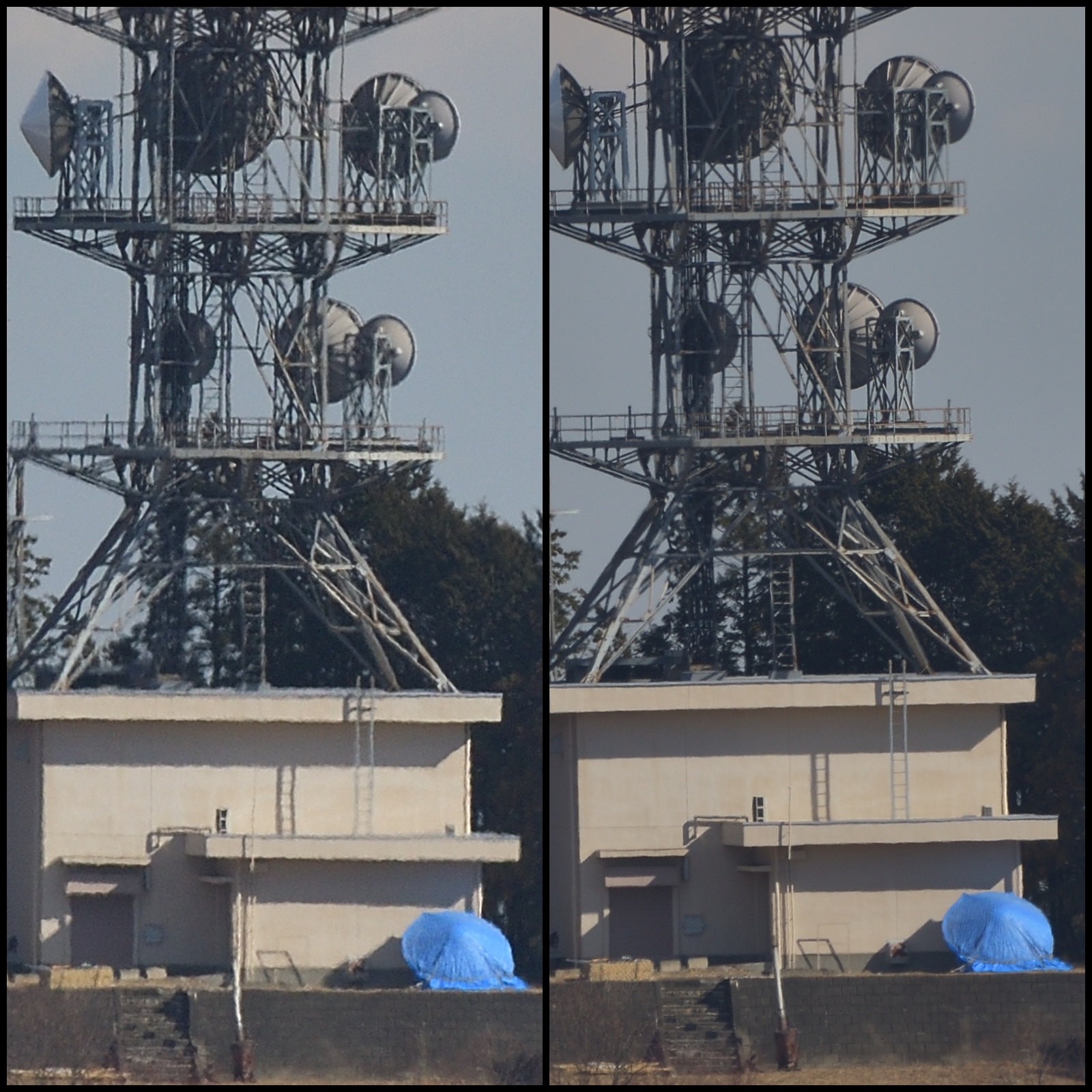 500mm F5.6E PF VS 300mm F2.8G ED VR II : 野鳥大好き・道草日記 500mm F5.6E PF VS 300mm F2.8G ED VR II : 野鳥大好き・道草日記