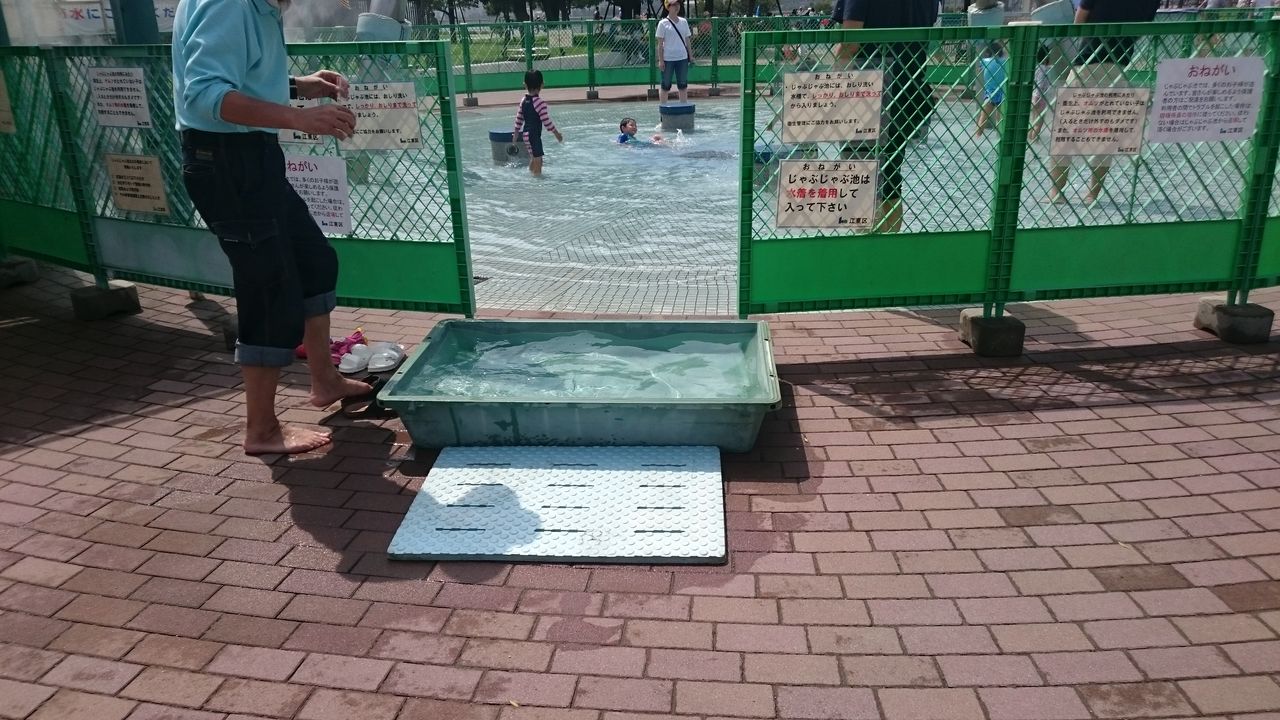 Jabu Jabu Pool at Toyosu Park, Free Kid's Water Place in Tokyo : Tokyo ...