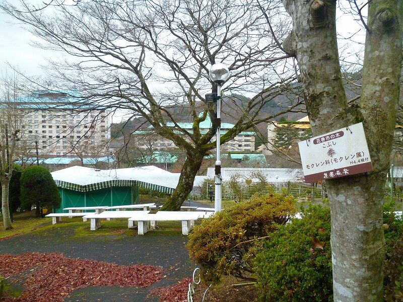 ハイキングさ あべじゃ:晩秋の花巻温泉バラ園 漫ろ徘徊す