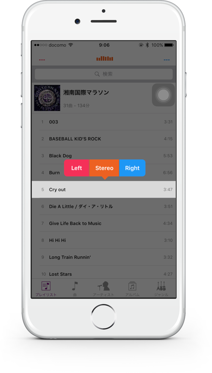 Dual Music Player Plus : Family Diary