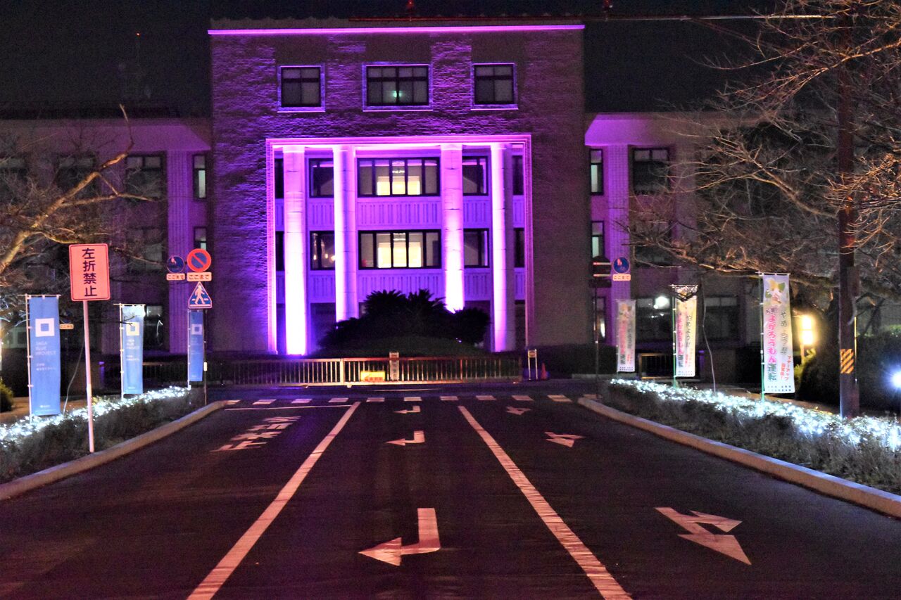 2019 SAGA LIGHT FANTASY －2 : tontonziziiのblog