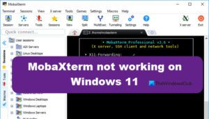 MobaXterm không hoạt động trên Windows 11 : tonyteocgcpのblog