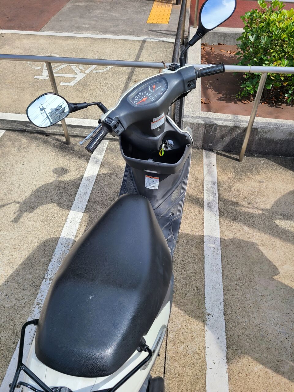 東京都庁水泳部公式ブログ:11月5日都庁大会です