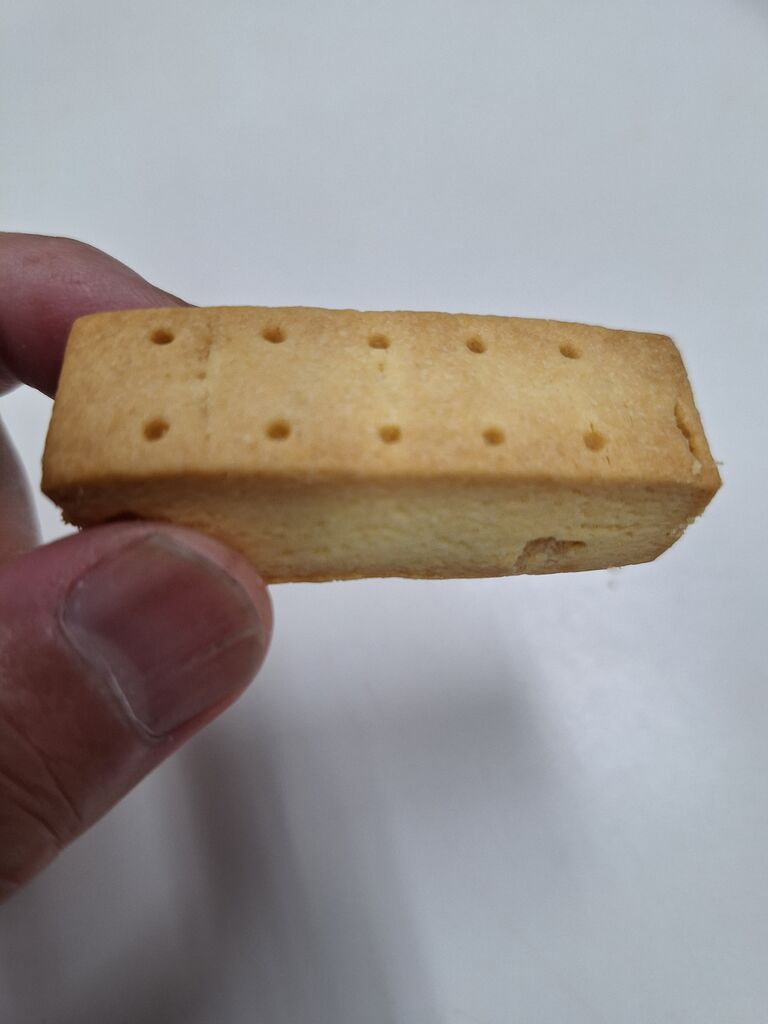 東京都庁水泳部公式ブログ:積土成山