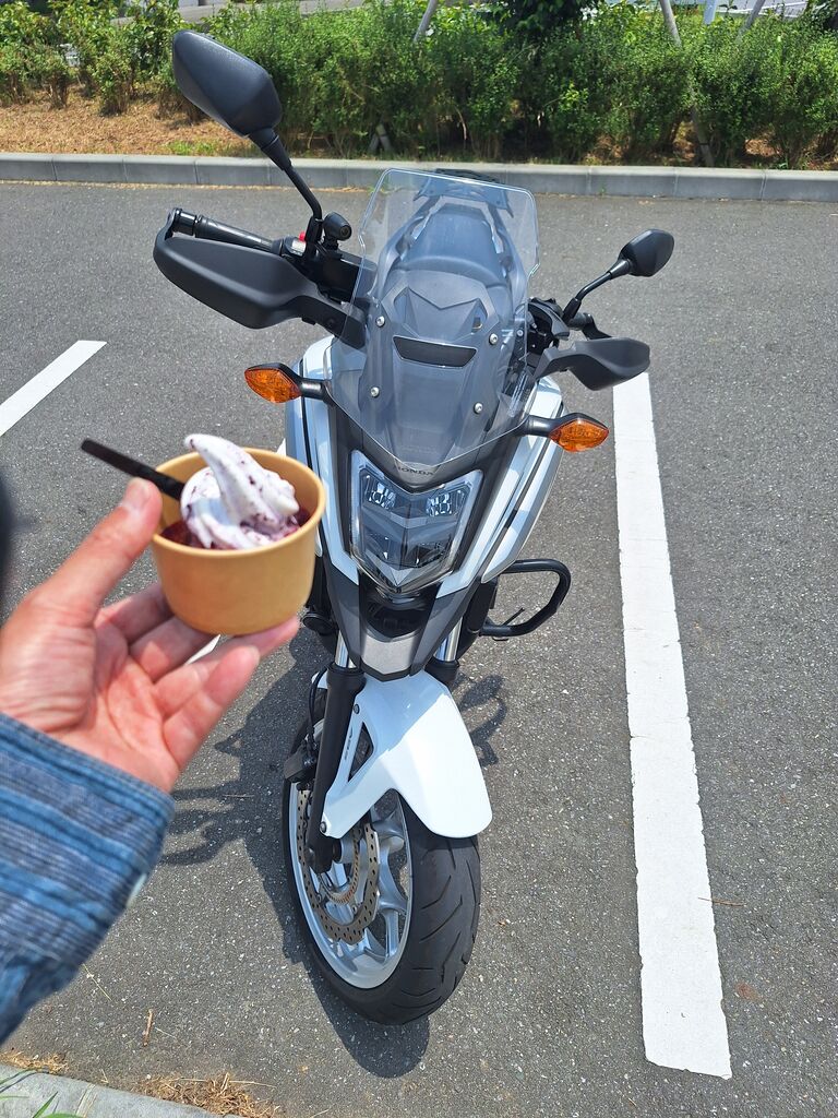 東京都庁水泳部公式ブログ:早く夏終わってくれ～