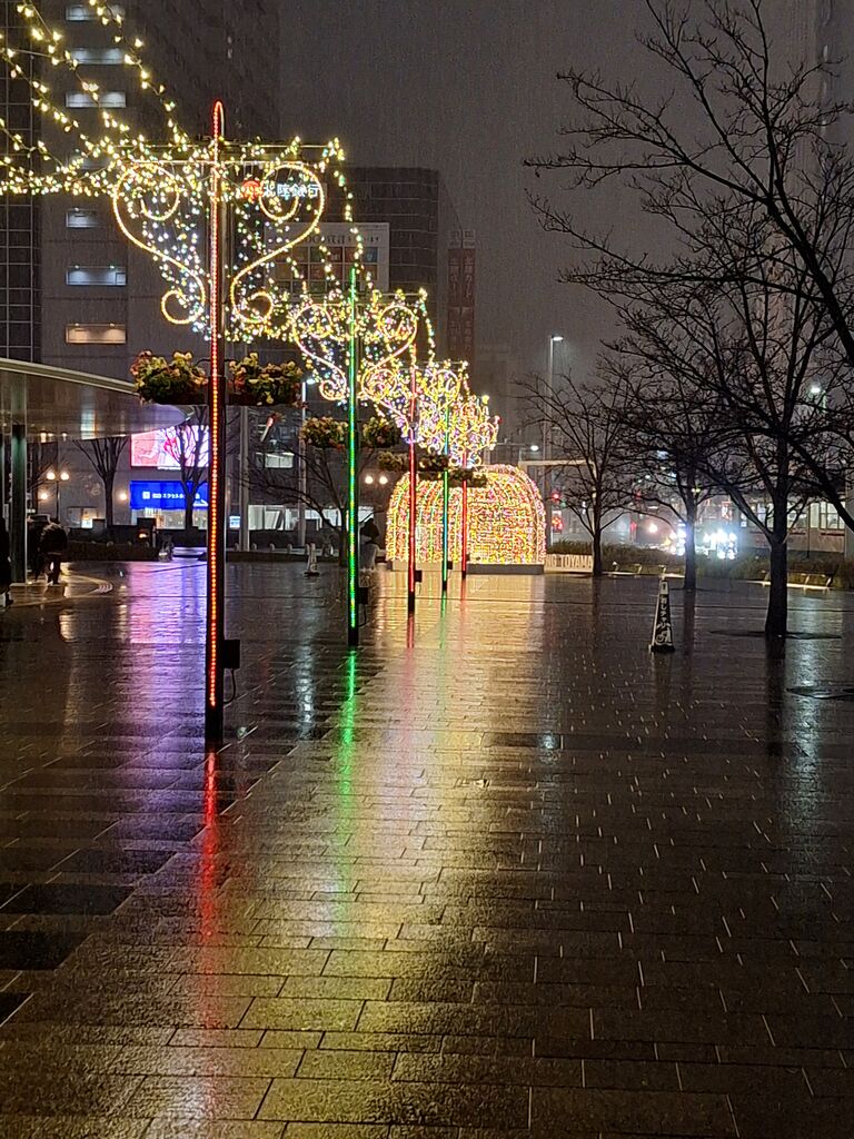 東京都庁水泳部公式ブログ:明日26日今年最後の練習会