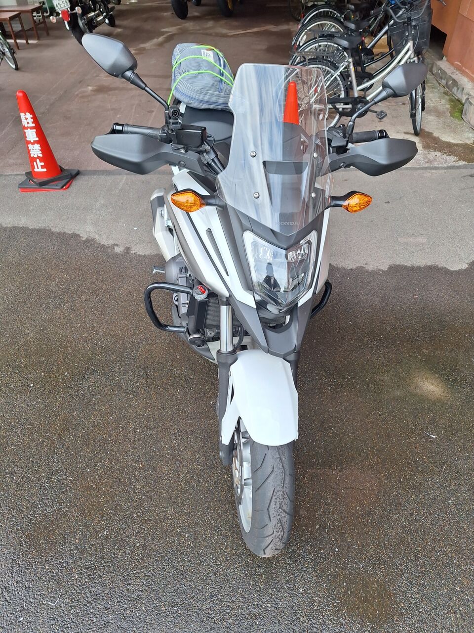 東京都庁水泳部公式ブログ:明日31日は練習会