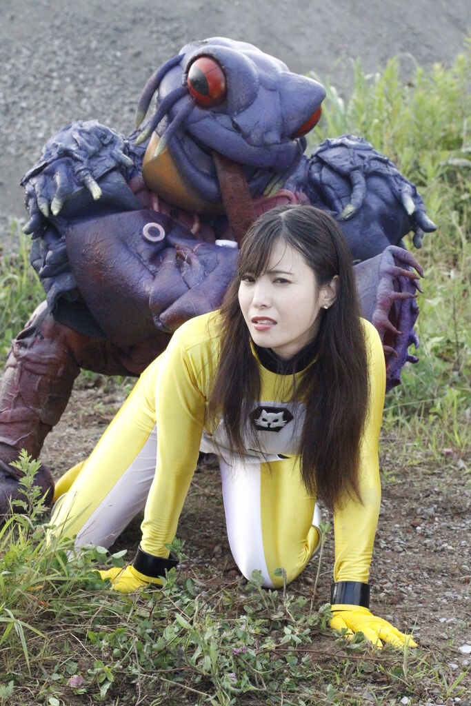 SAKATA REPORT : 神獣戦隊ビーストレンジャー ビーストイエロー 特殊責め